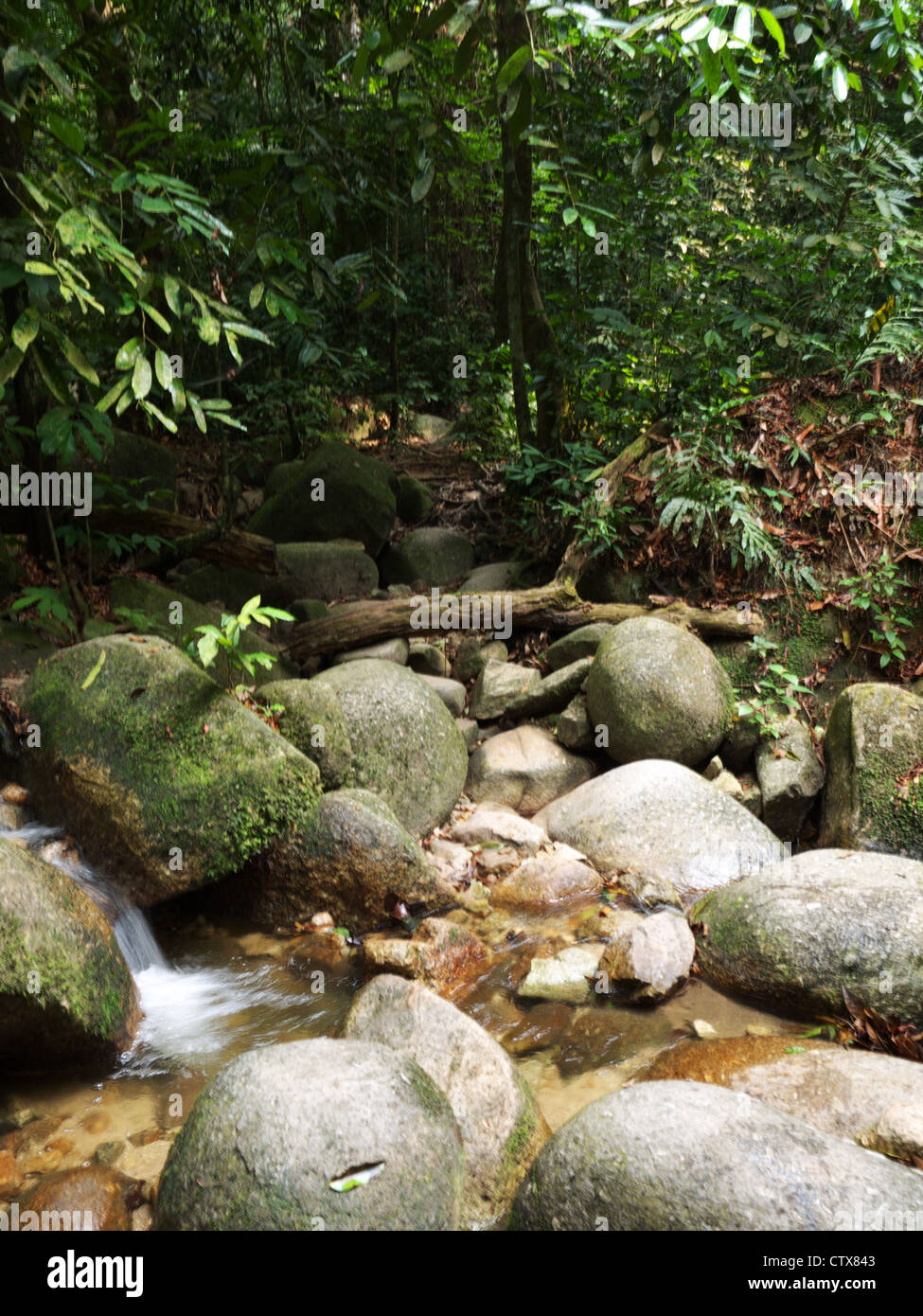 Stones green river water hi-res stock photography and images - Alamy