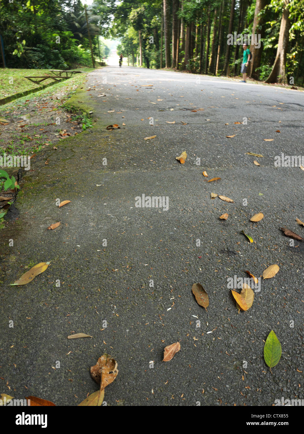 From road angle from road angle hi-res stock photography and images - Alamy