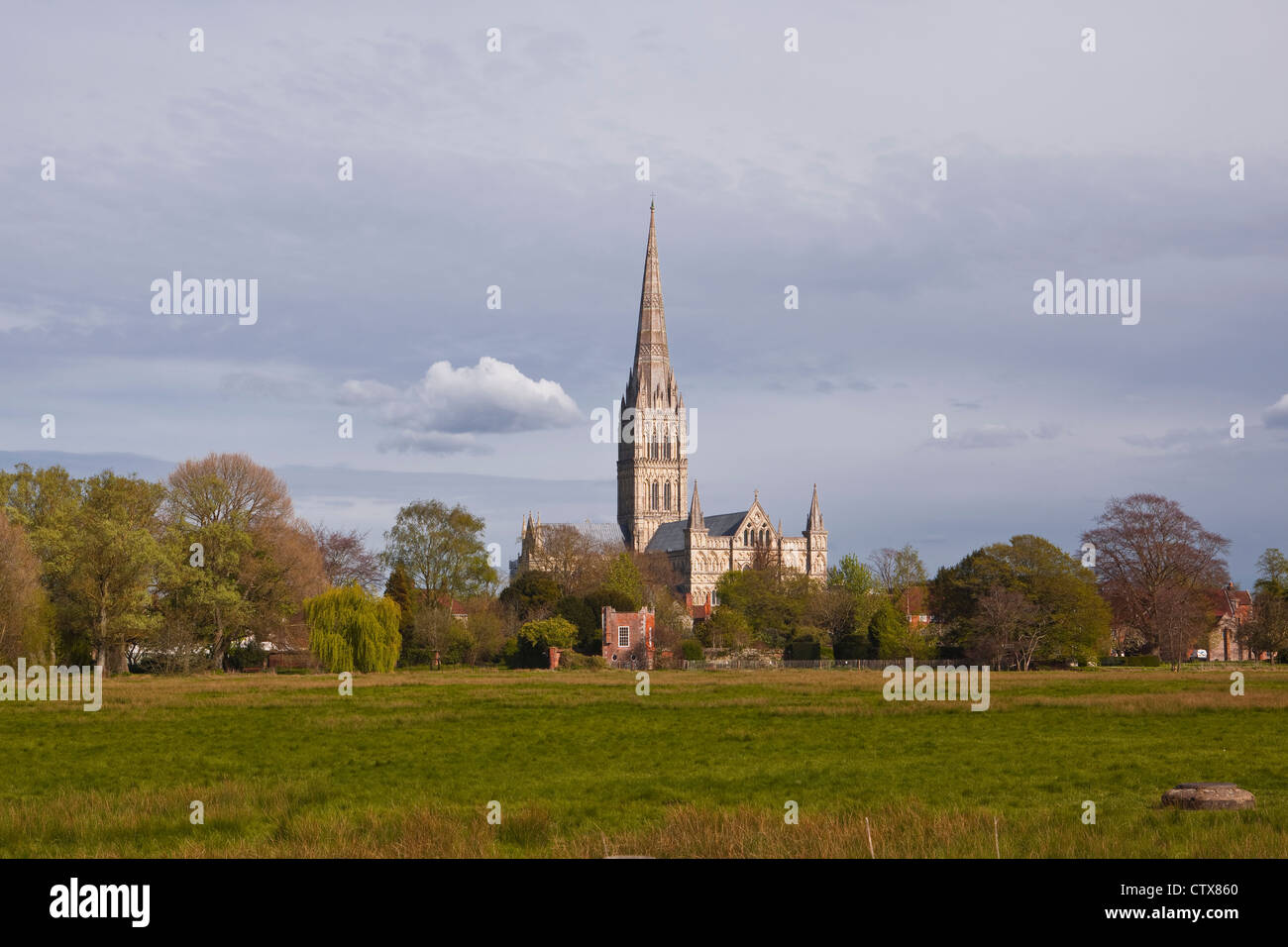 Salisbury cathedral and the west harnham water meadows in Wiltshire ...