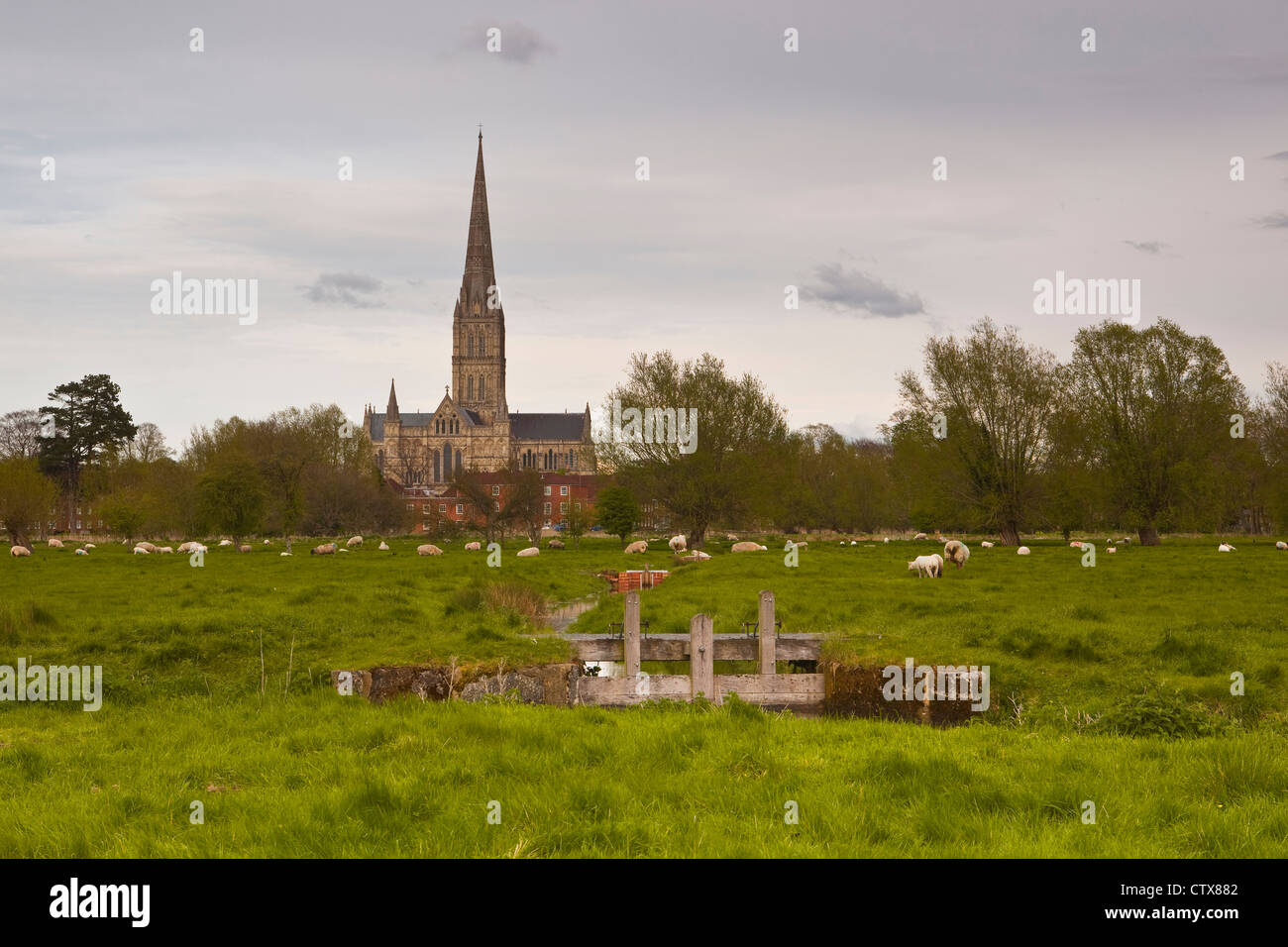 Salisbury cathedral and the west harnham water meadows in Wiltshire ...