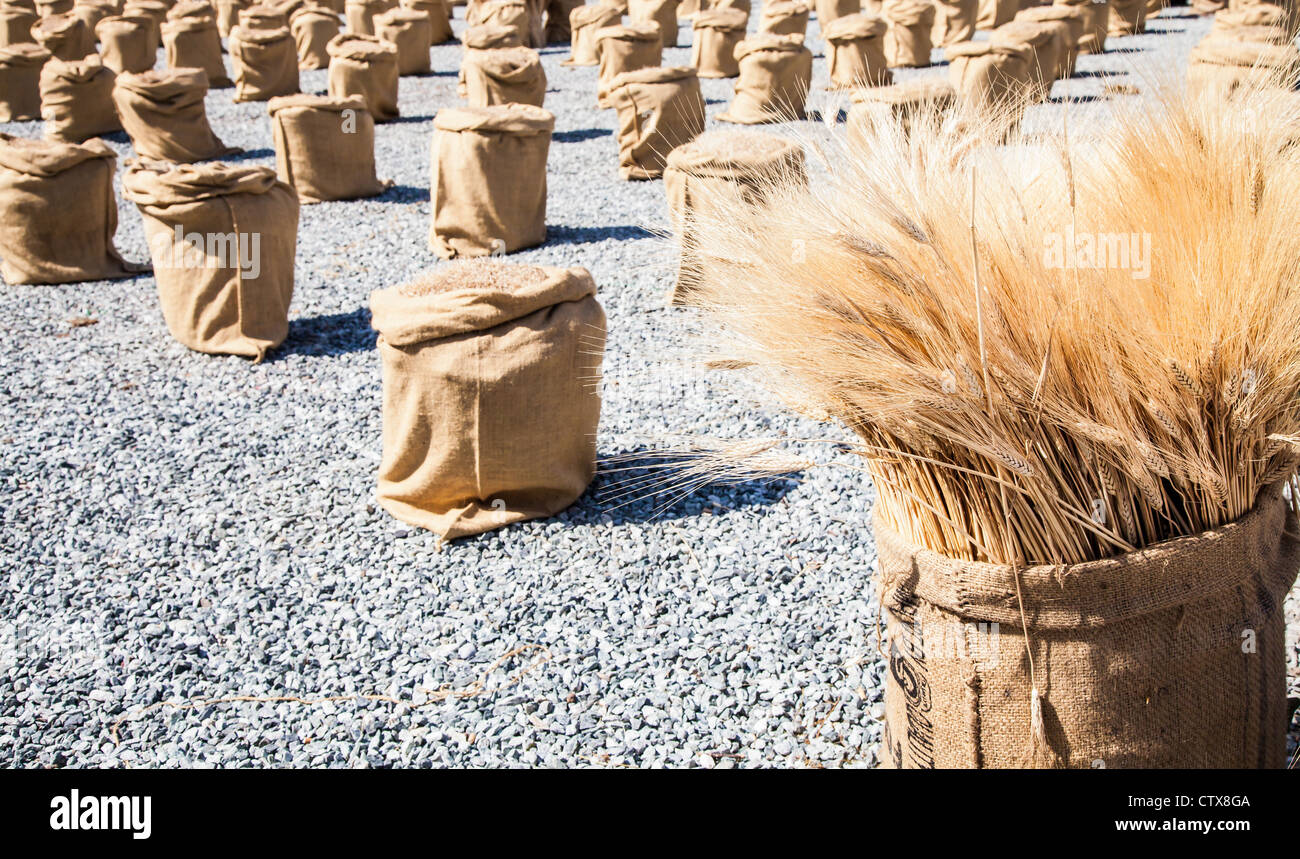 Wheat sacks hi-res stock photography and images - Alamy