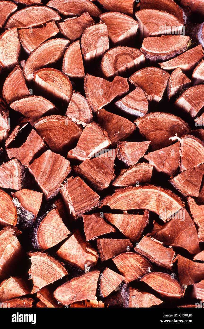 A stack of freshly chopped wood, Victoria, british Columbia, Canada ...
