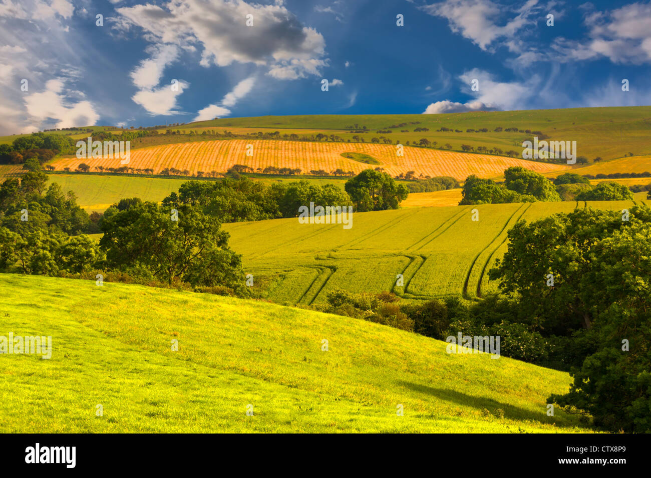 Yorkshire countryside hi-res stock photography and images - Alamy