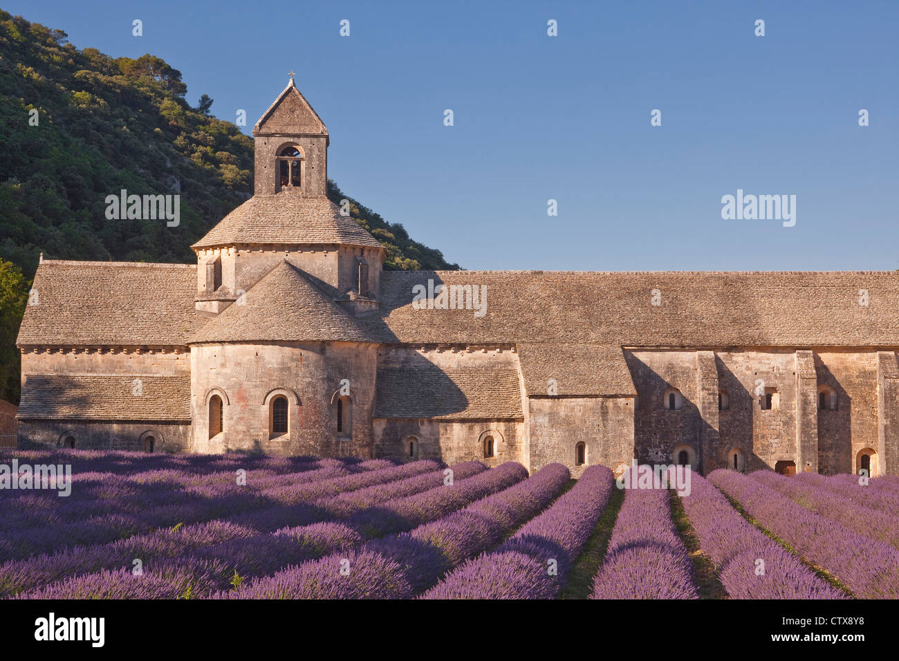 Abbaye de senanque hi-res stock photography and images - Alamy
