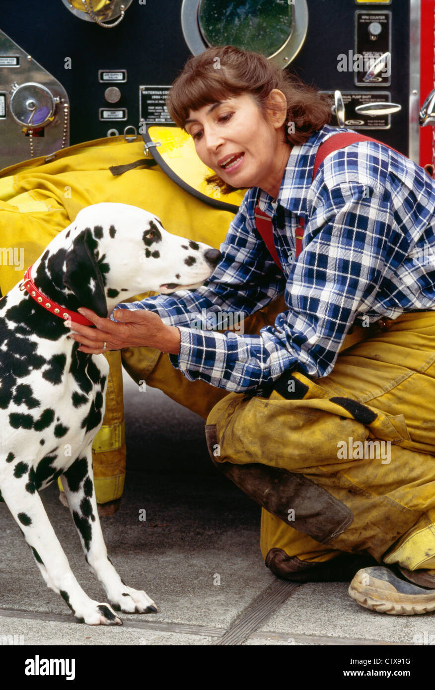 Why Are Dalmatians Considered Firehouse Dogs