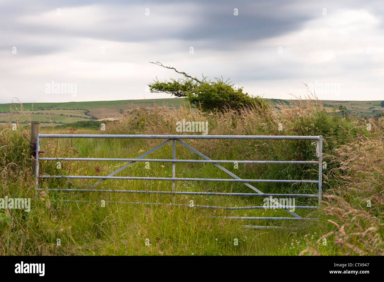 A metal arm gate Stock Photo - Alamy