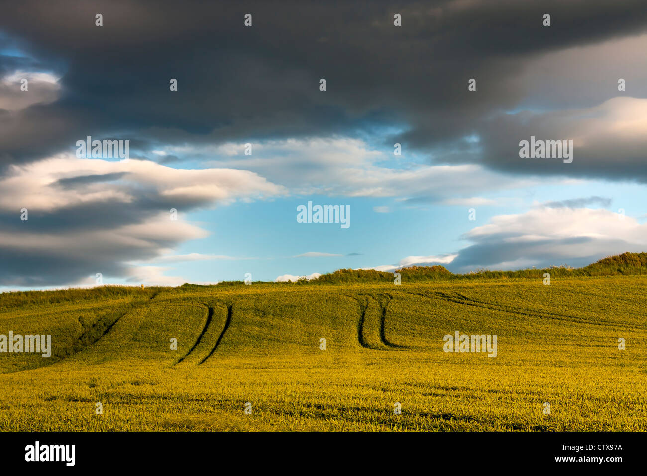 Countryside scene with dramatic clouds and sky Stock Photo - Alamy
