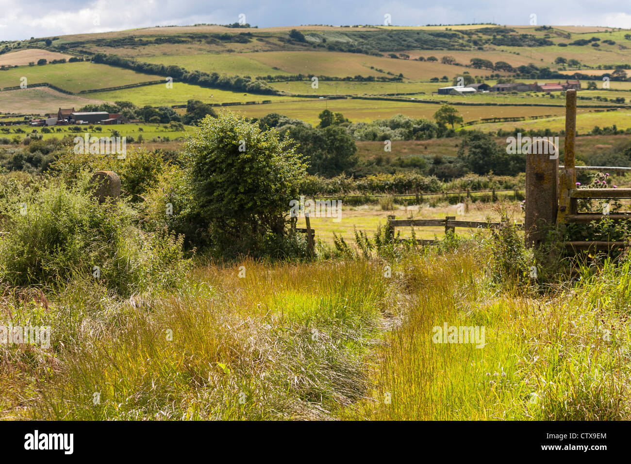 A metal arm gate Stock Photo - Alamy