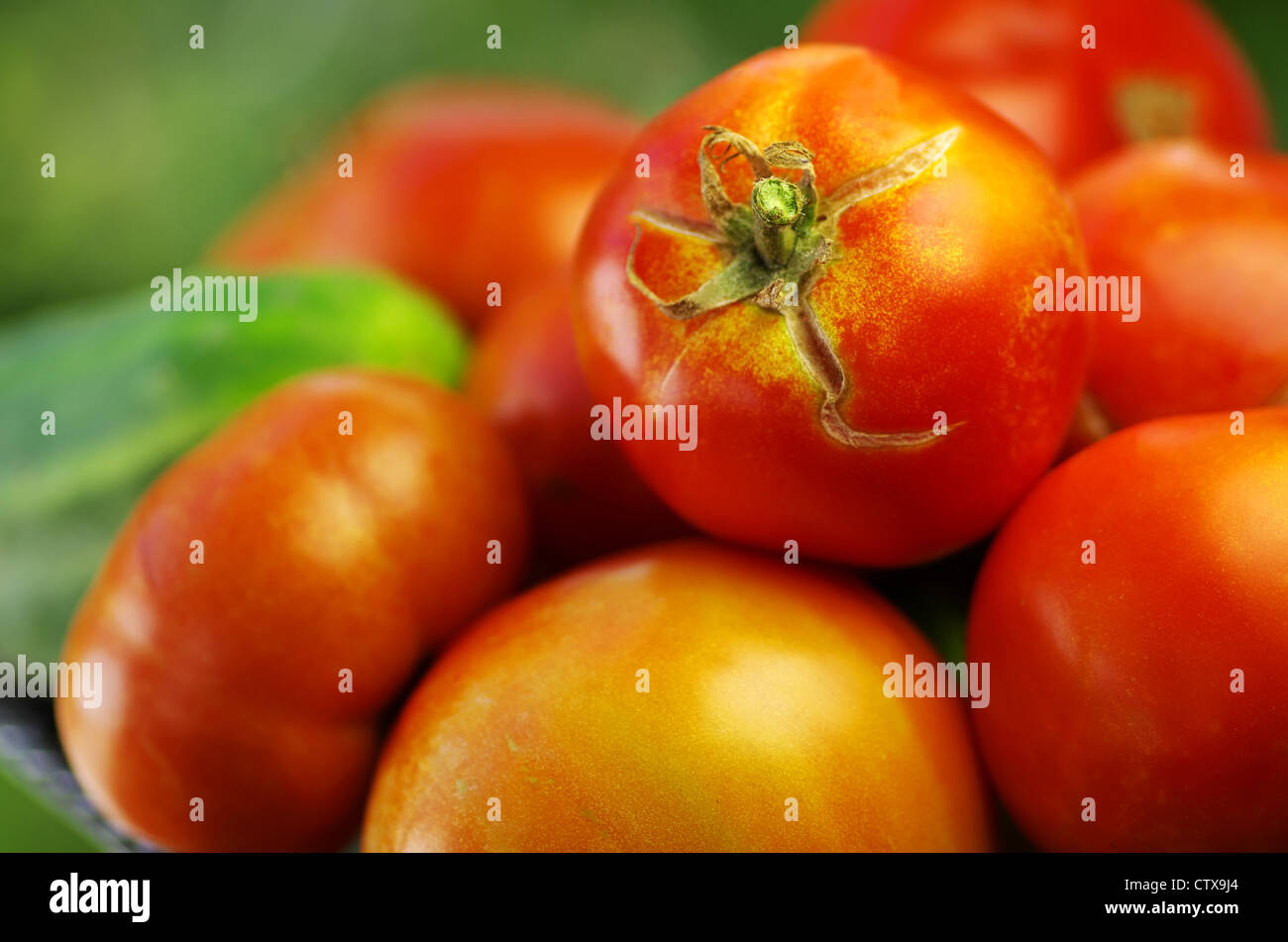 Closeup of red tomato Stock Photo - Alamy