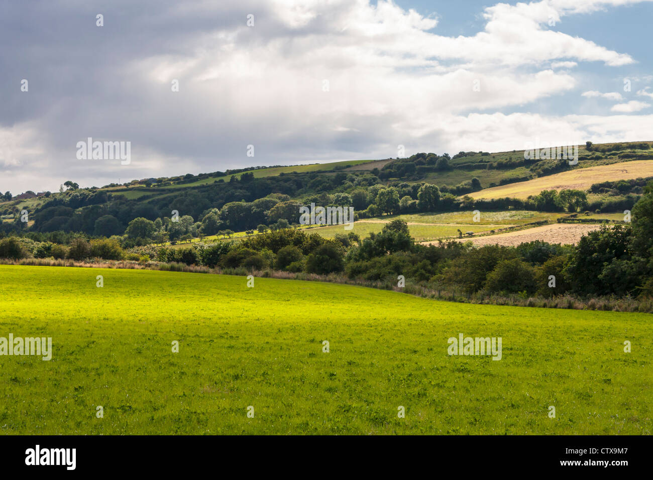Yorkshire countryside hi-res stock photography and images - Alamy