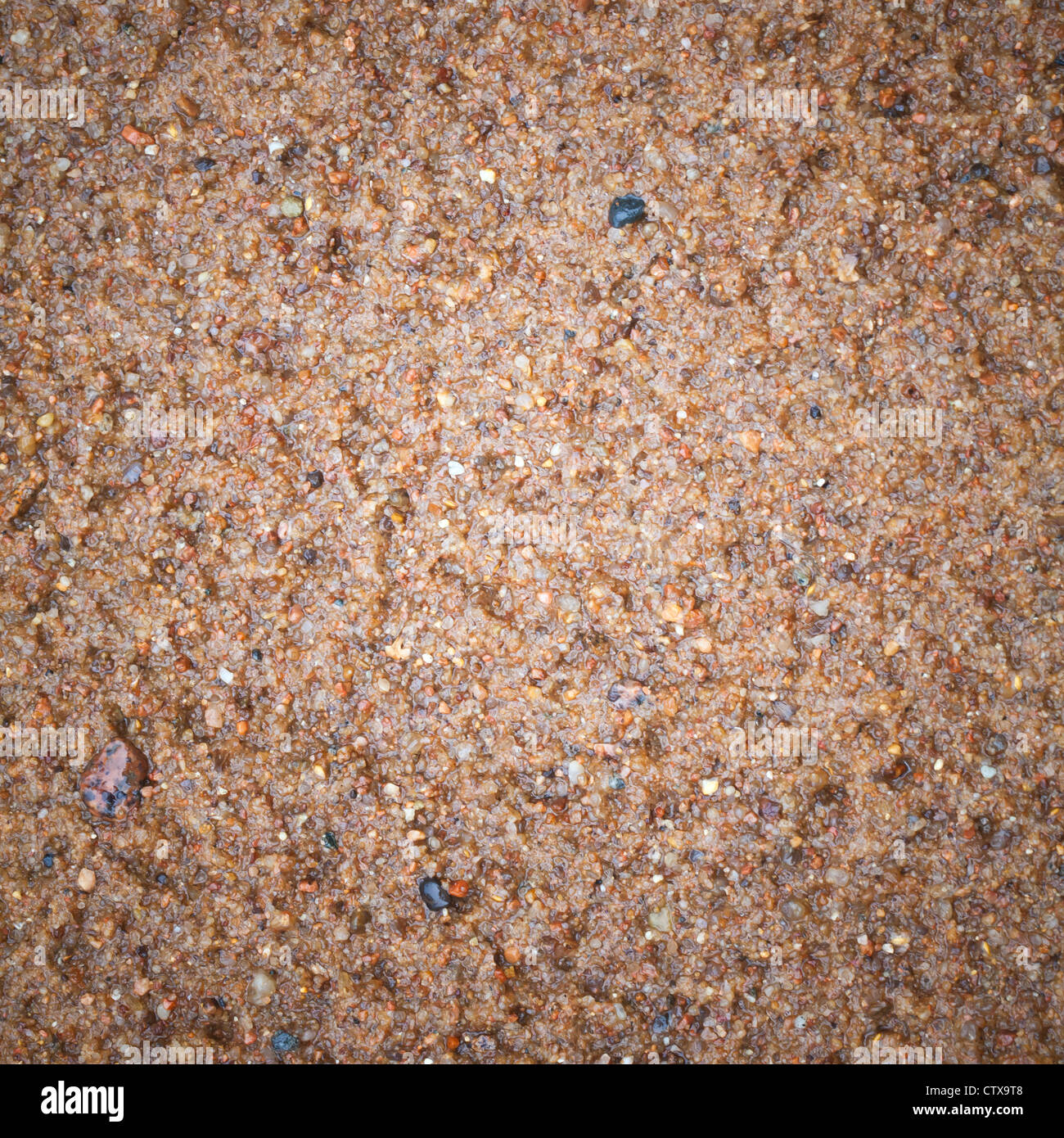 Background texture of wet sand ground surface after the rain Stock ...