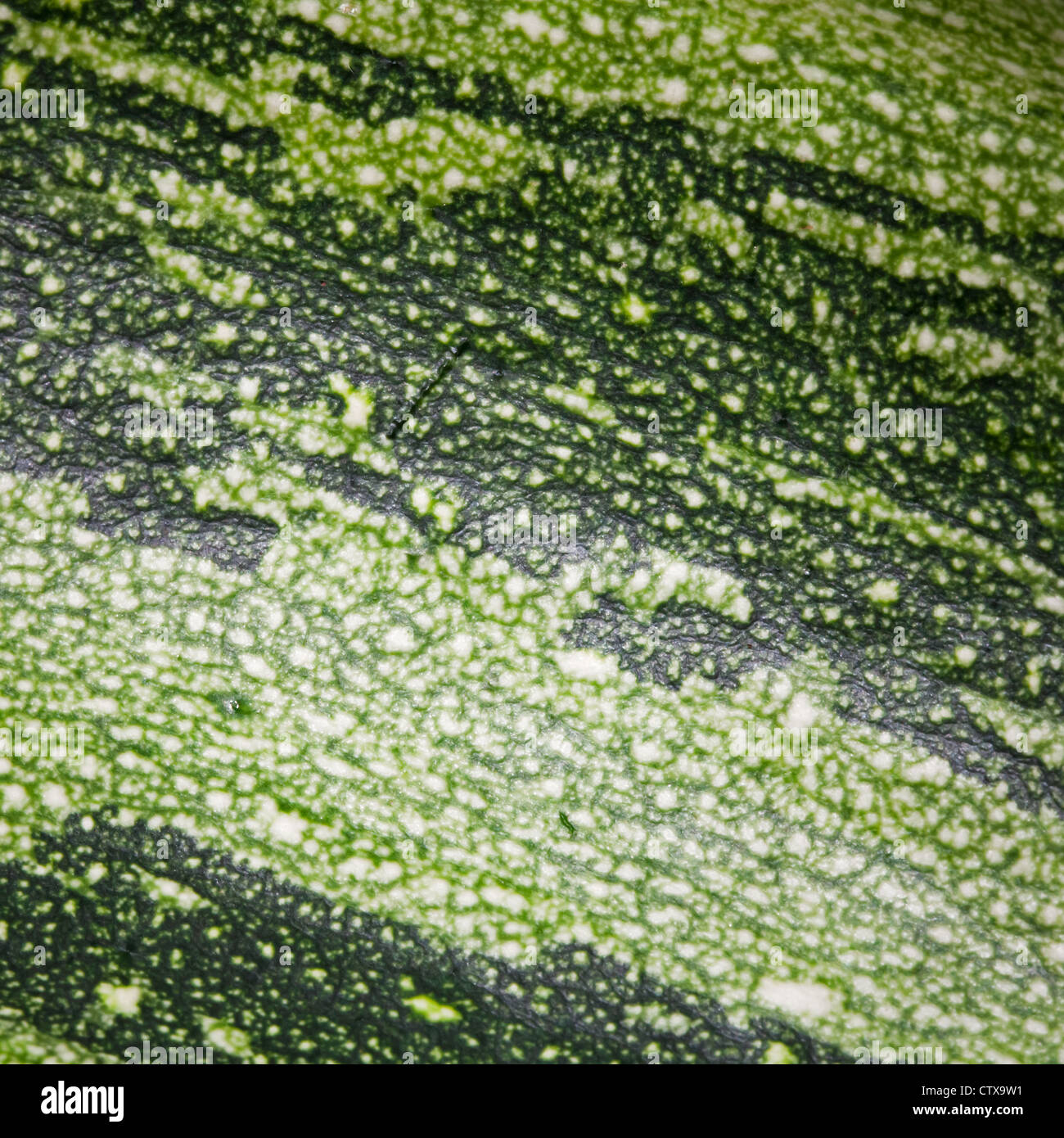 Abstract green squash detailed background texture Stock Photo - Alamy