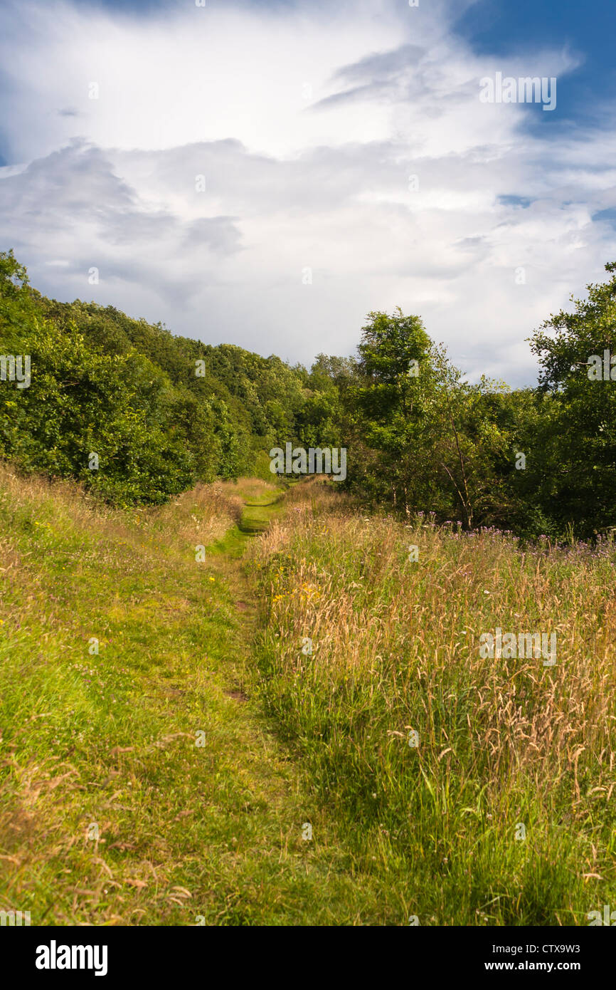 A track through the countryside Stock Photo - Alamy