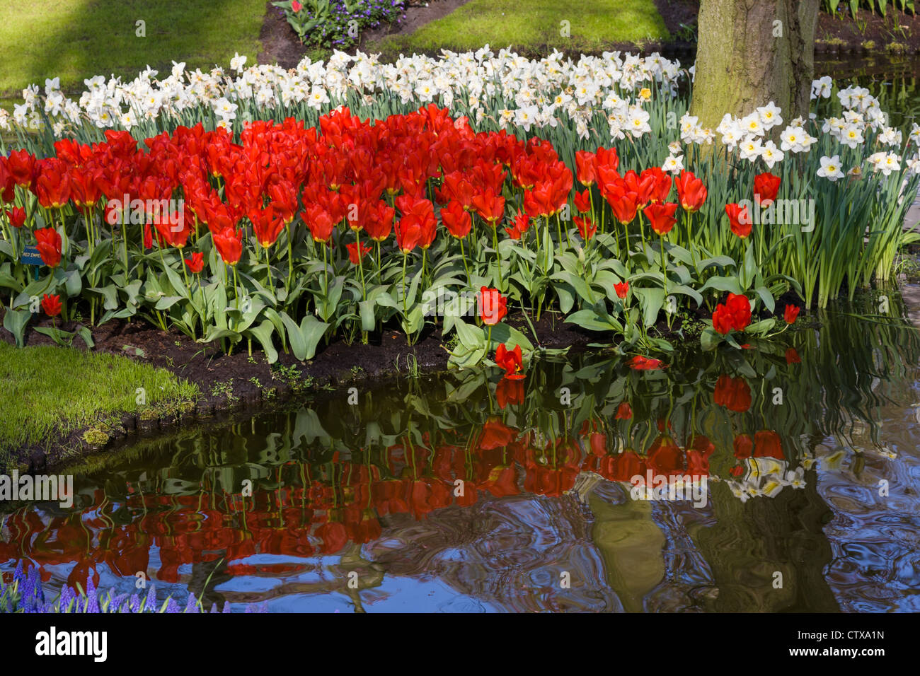 Keukenhof gardens lake hi-res stock photography and images - Alamy