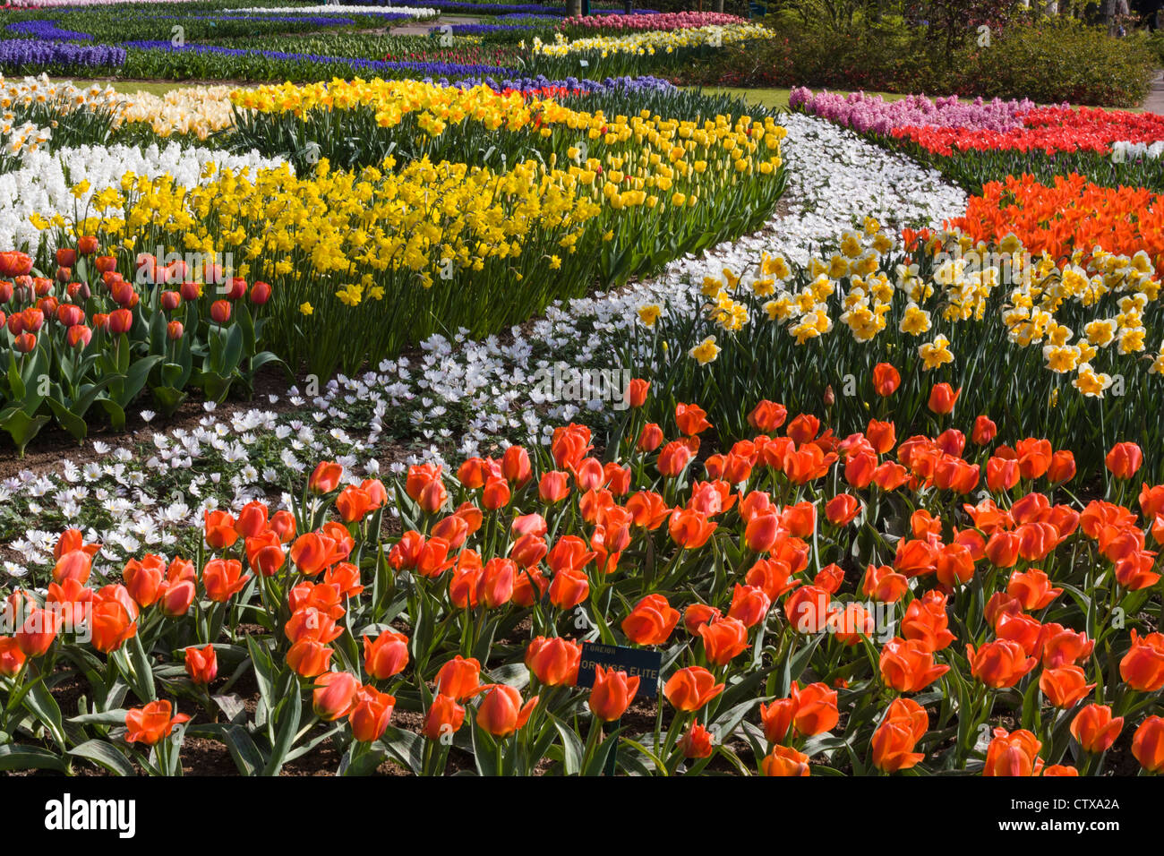 Garden scene hi-res stock photography and images - Alamy