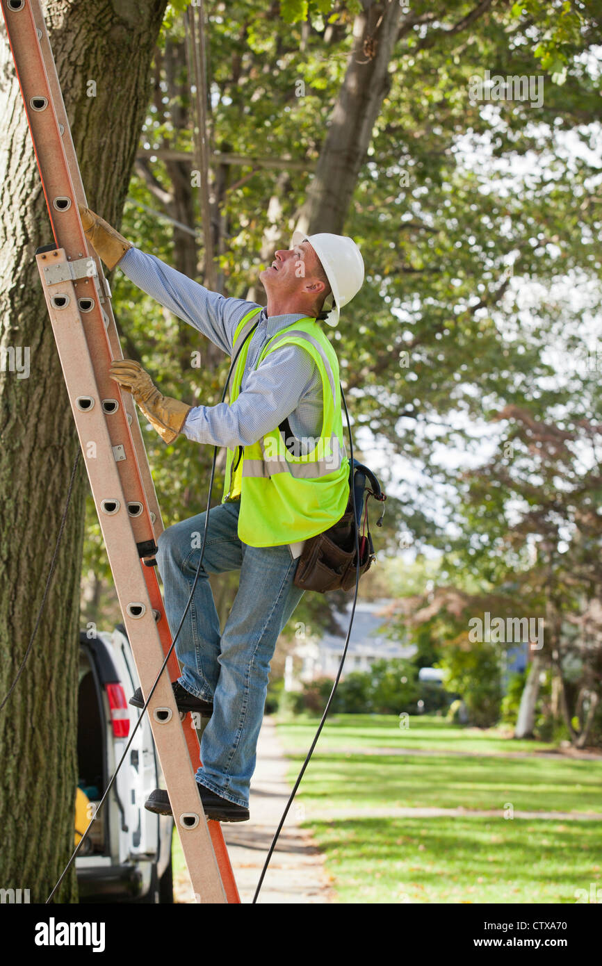 Climbing wires hi-res stock photography and images - Alamy