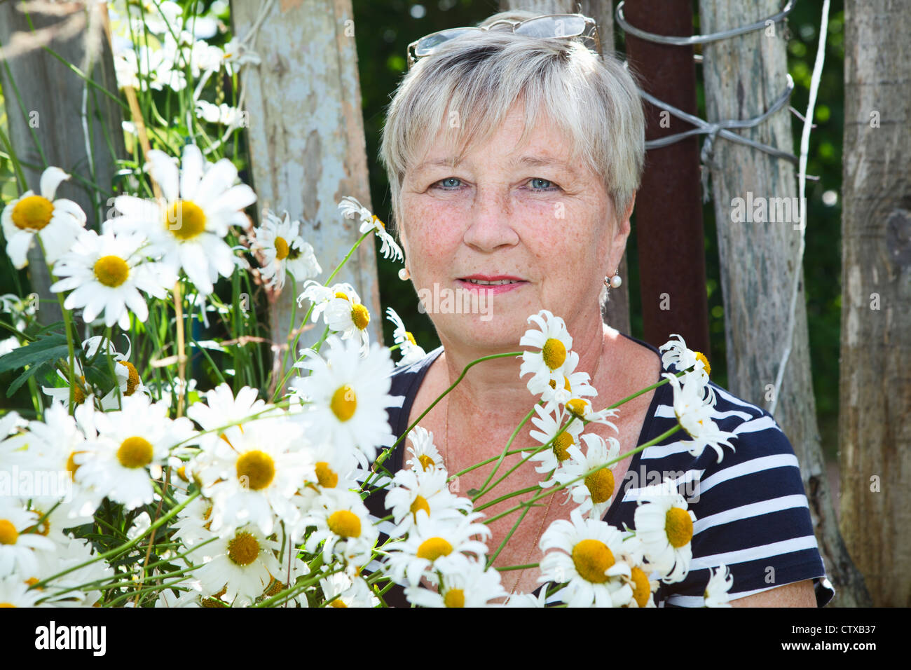 Senior adult female between bunch of growing chamomiles Stock Photo - Alamy