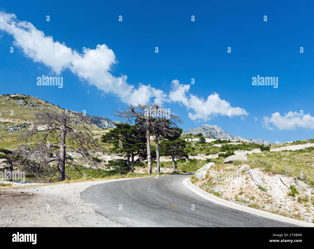 Summer Llogara pass view with road and dry trees on roadside(Albania ...