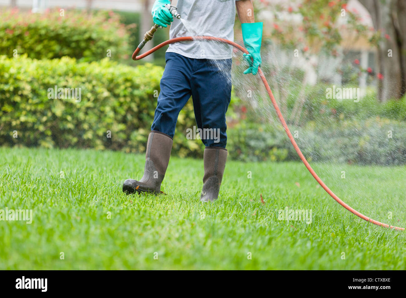 Pest control technician using high pressure spray gun and hose with ...