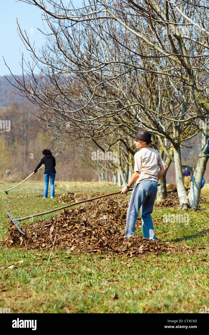 Dead walnut tree hi-res stock photography and images - Alamy
