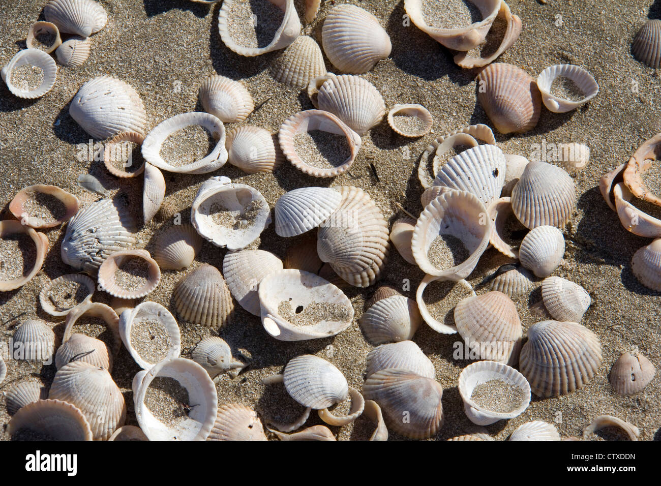 Sea the gulf hi-res stock photography and images - Alamy