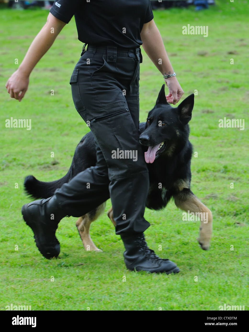 Police dog scotland hi-res stock photography and images - Alamy