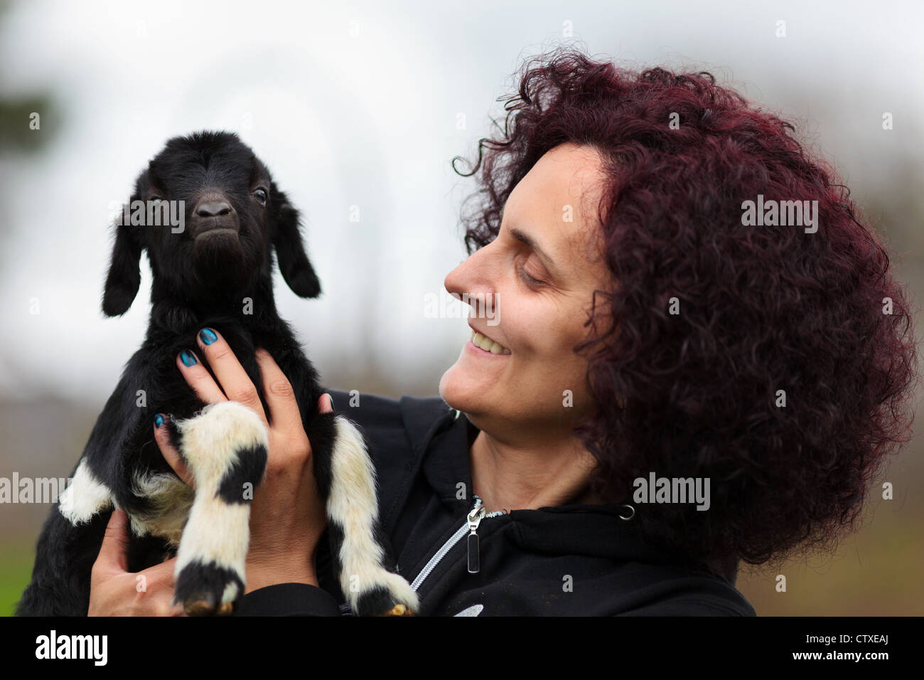 Goat of arms hi-res stock photography and images - Alamy