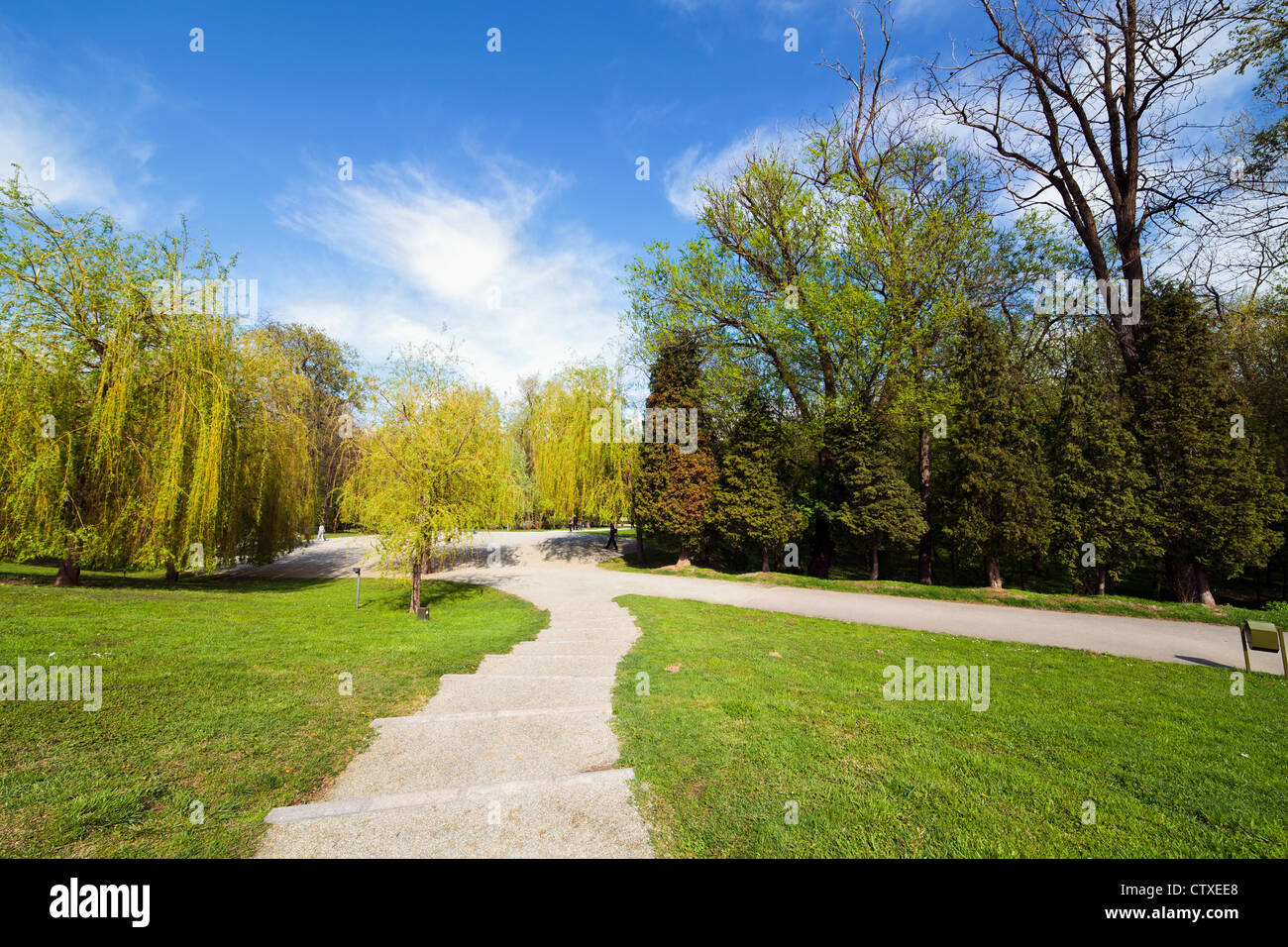 Beautiful spring landscape in the city park Stock Photo - Alamy