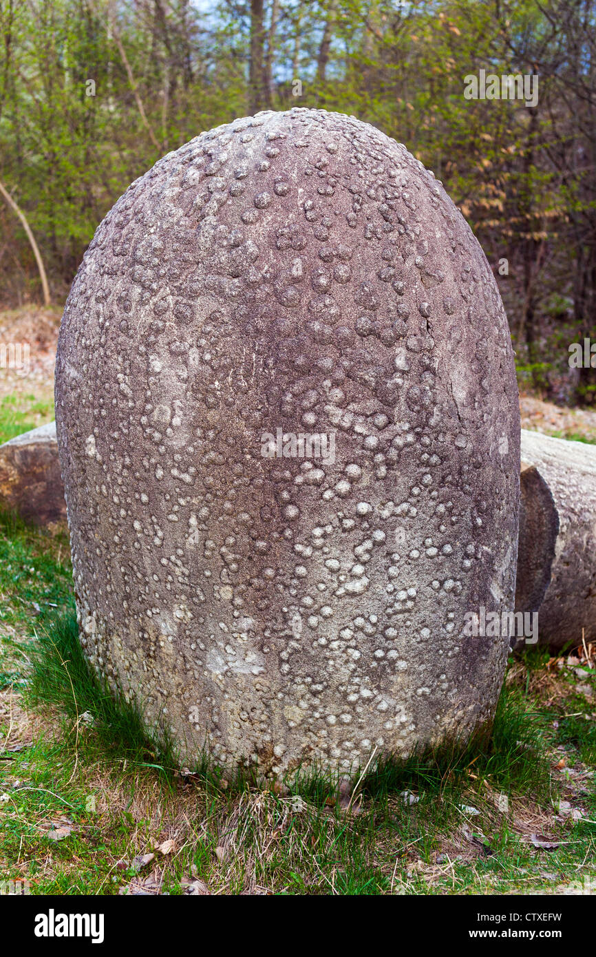 Sedimentary rocks (concretions) in the natural park in Romania Stock ...