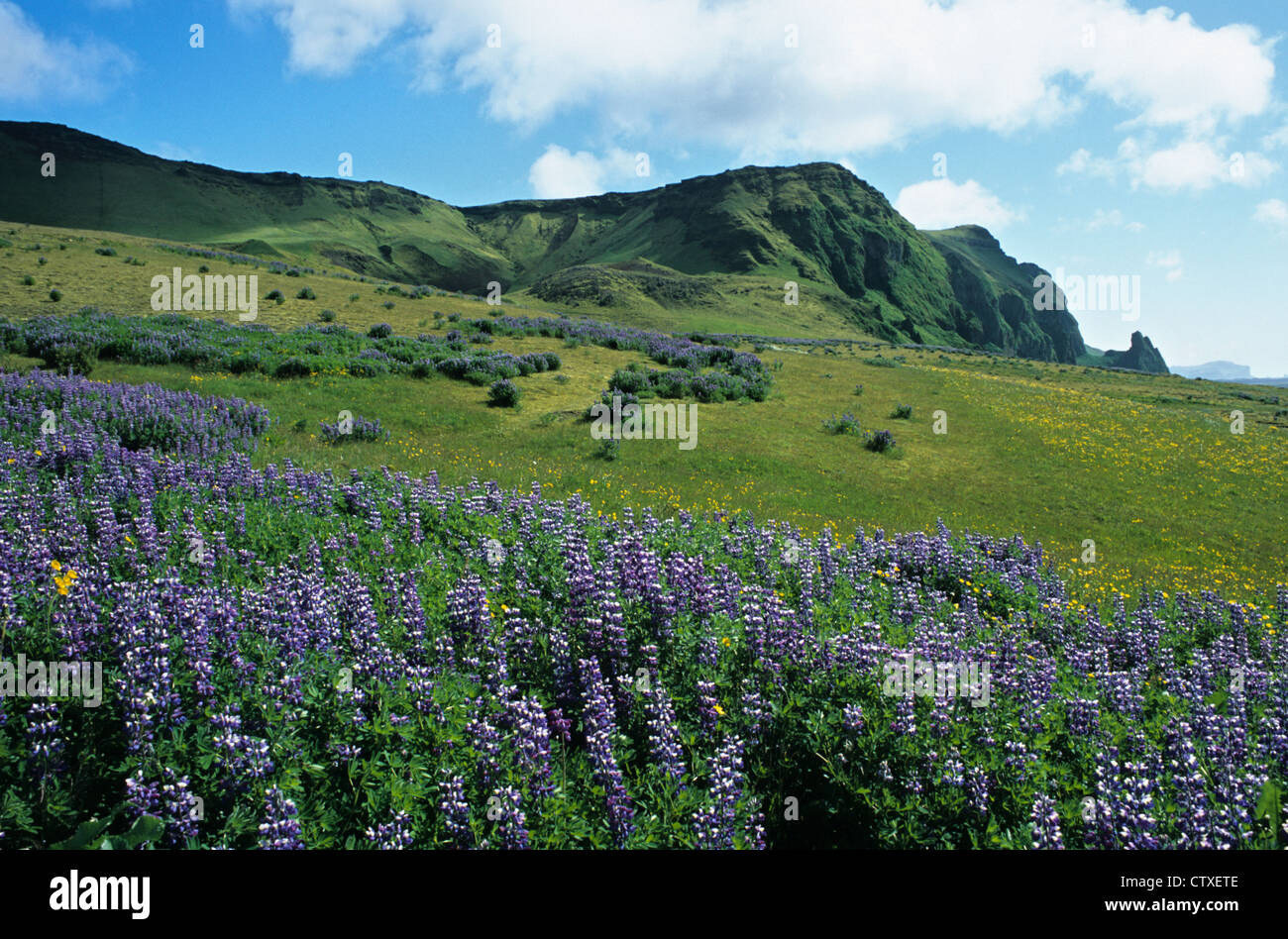 Landscape around vik iceland hi-res stock photography and images - Alamy