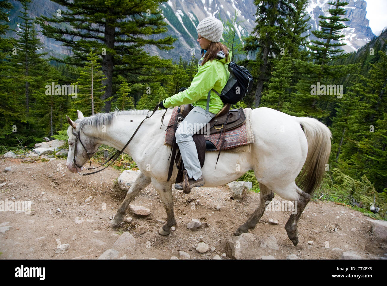 riding the horse in mountains path Stock Photo - Alamy