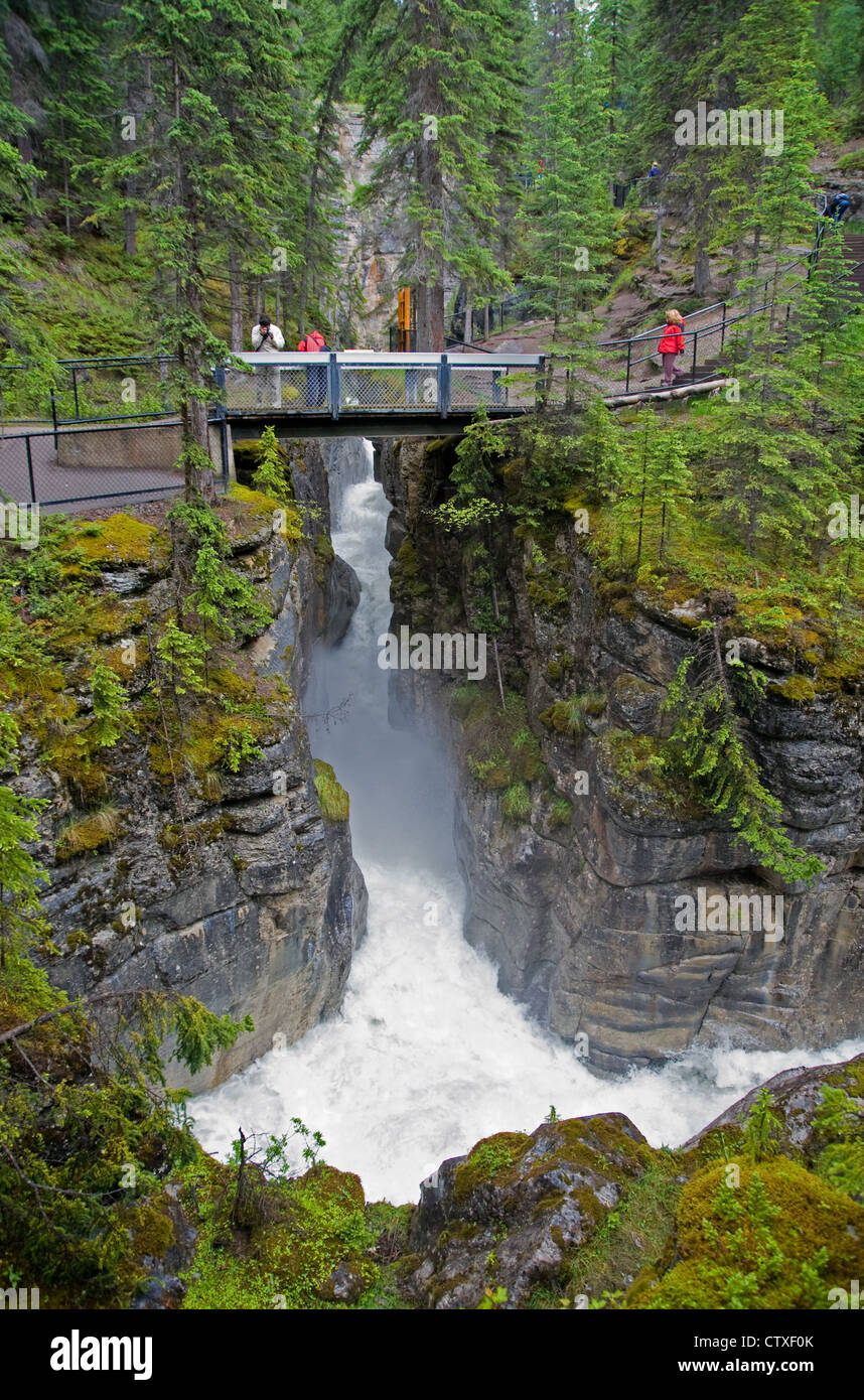 Sunwapta Falls view, Jasper National Park, Alberta, Canada Stock Photo ...