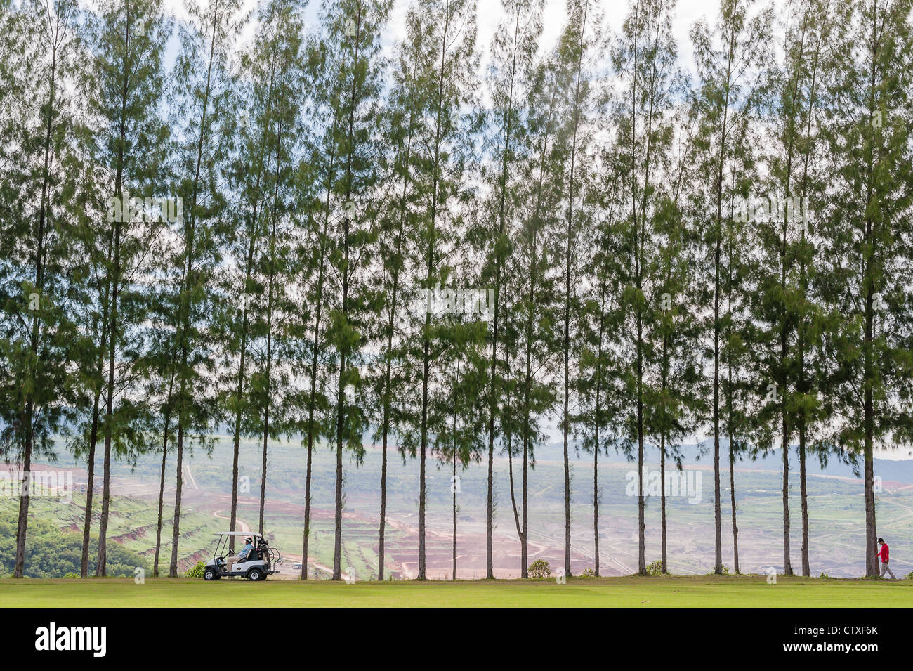 Golf course tree hi-res stock photography and images - Alamy