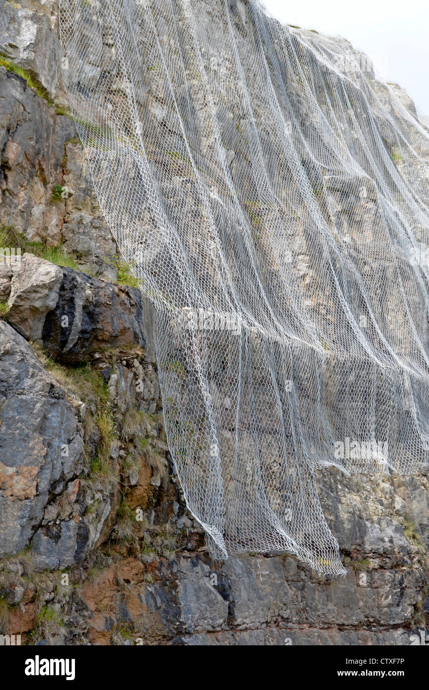 Net protect hi-res stock photography and images - Alamy