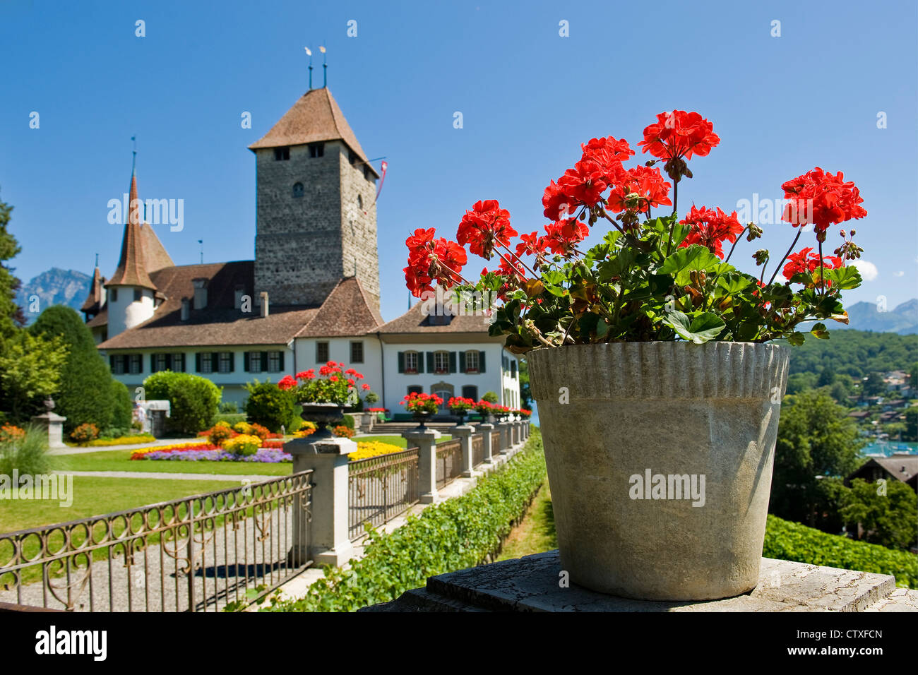 Switzerland, Canton Bern, Spiez, medieval castle Stock Photo - Alamy
