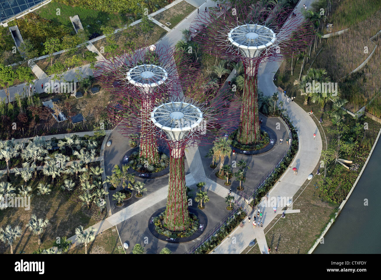 Aerial view of Supertrees at Gardens By The Bay near Marina Bay in ...