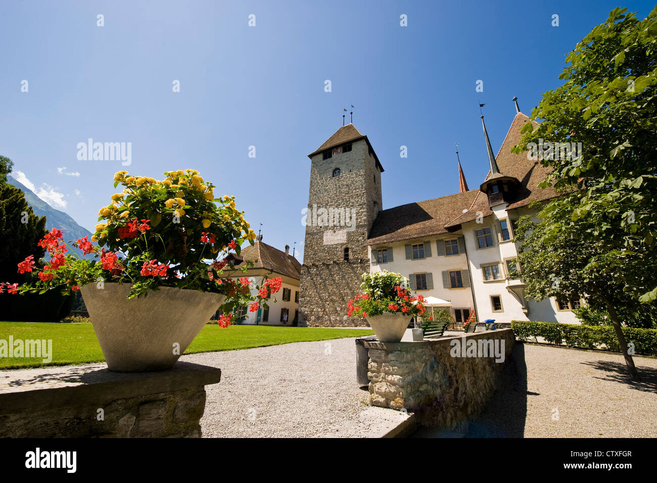 Switzerland, Canton Bern, Spiez, medieval castle Stock Photo - Alamy