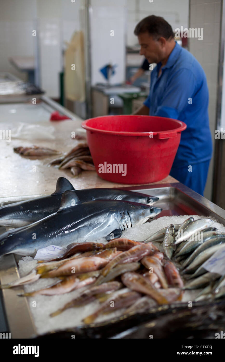 Fresh Fish market Funchal Madeira Portugal Stock Photo - Alamy