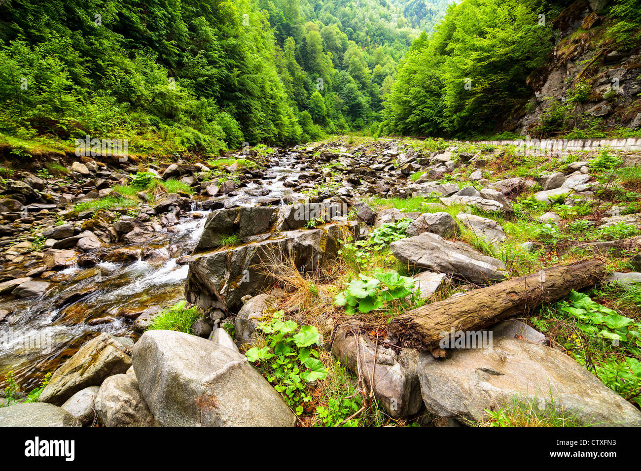 Landscape with river flowing through rocks Stock Photo - Alamy