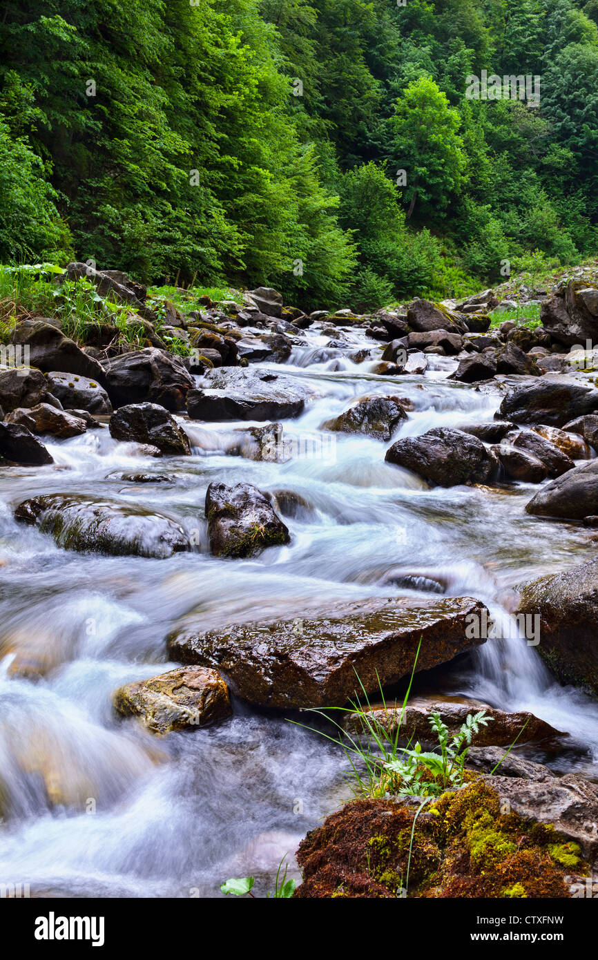 Landscape with river flowing through rocks Stock Photo - Alamy