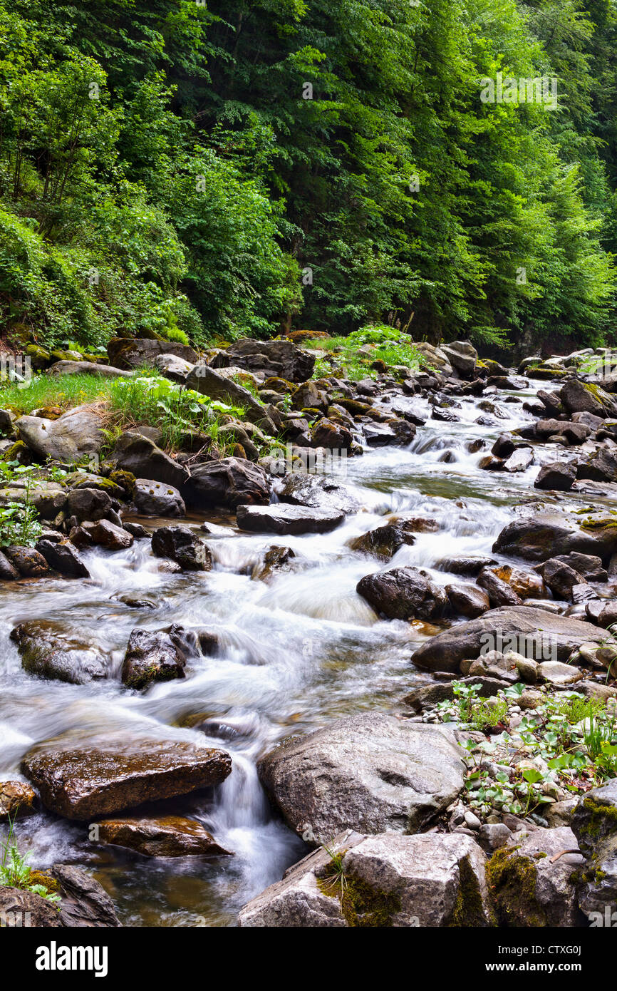 Landscape with river flowing through rocks Stock Photo - Alamy