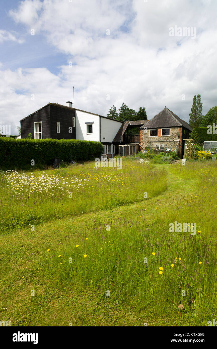 Grass path through lawn allowed to grow long enabling wild flowers to ...