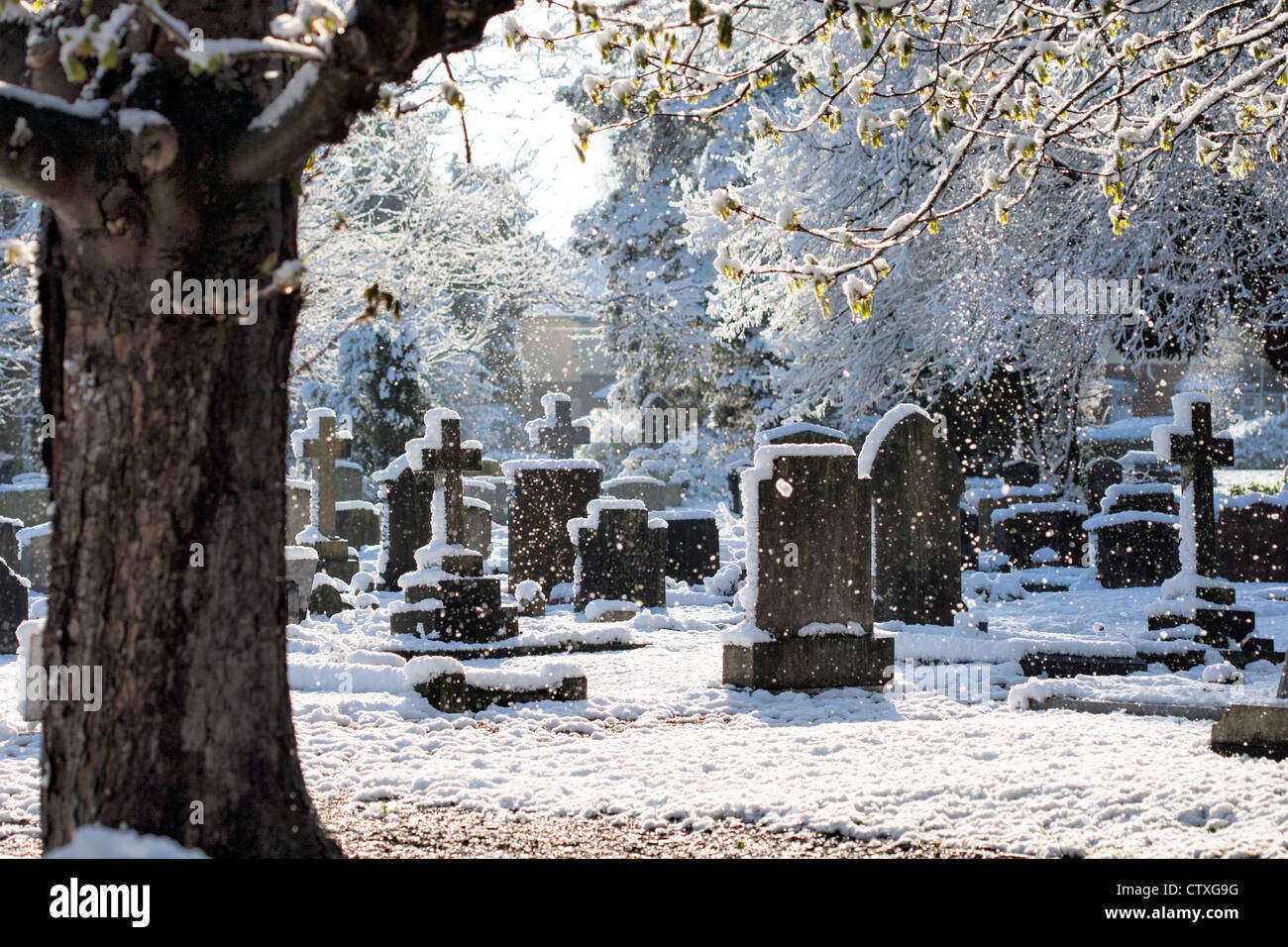 Snowfall cemetery hi-res stock photography and images - Alamy
