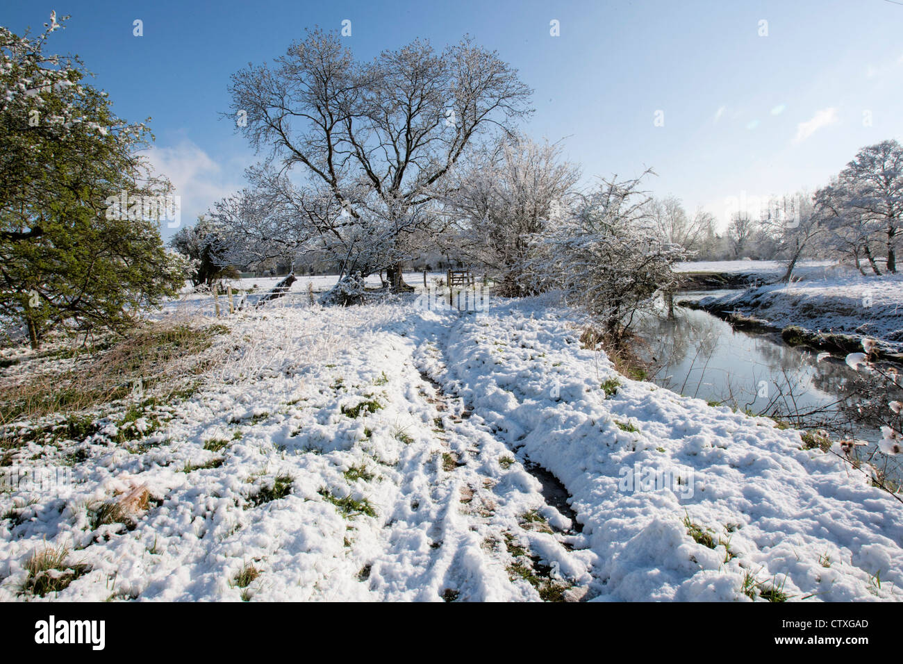 snowy winter scene Stock Photo - Alamy