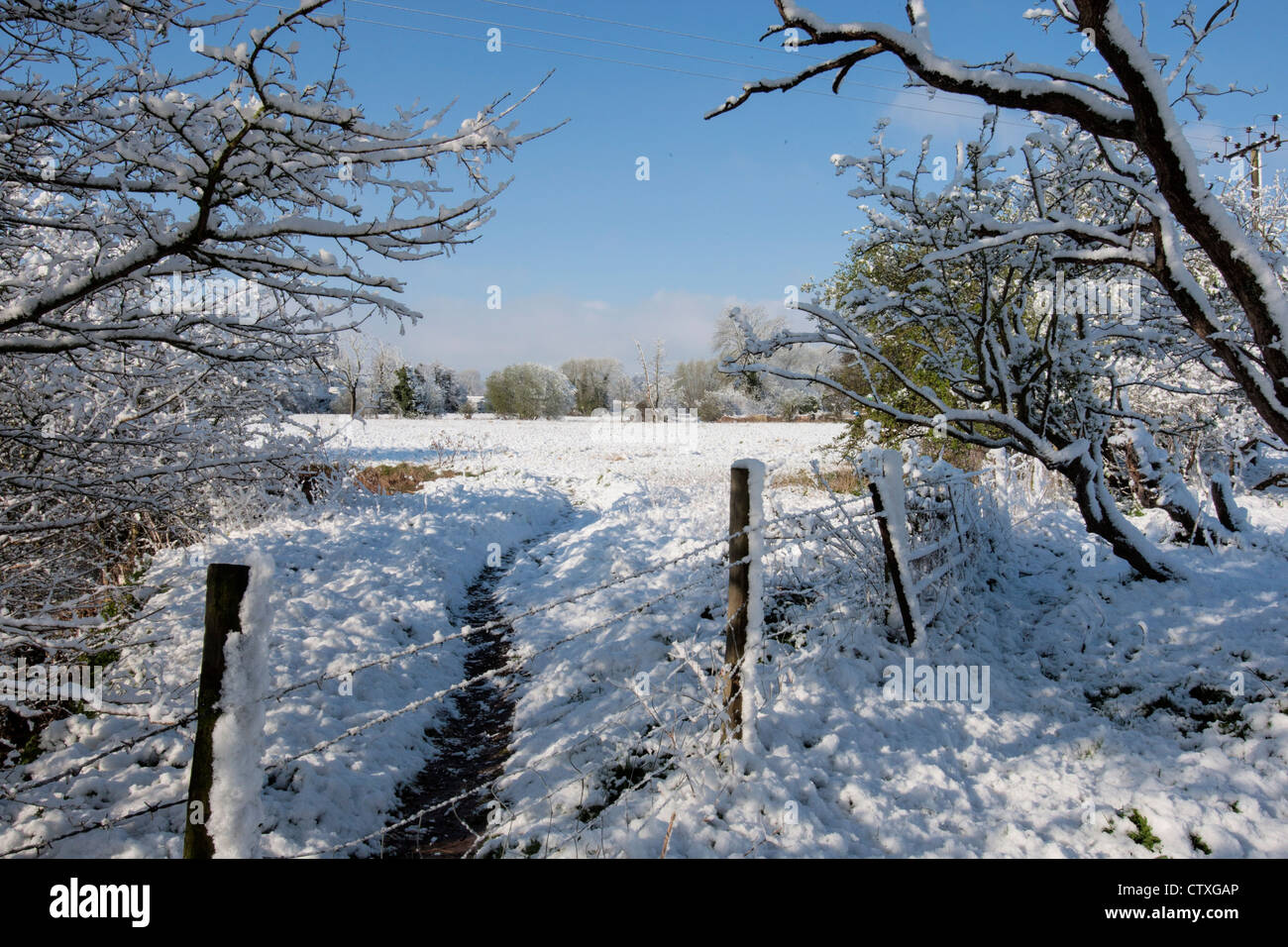 snowy winter scene Stock Photo - Alamy