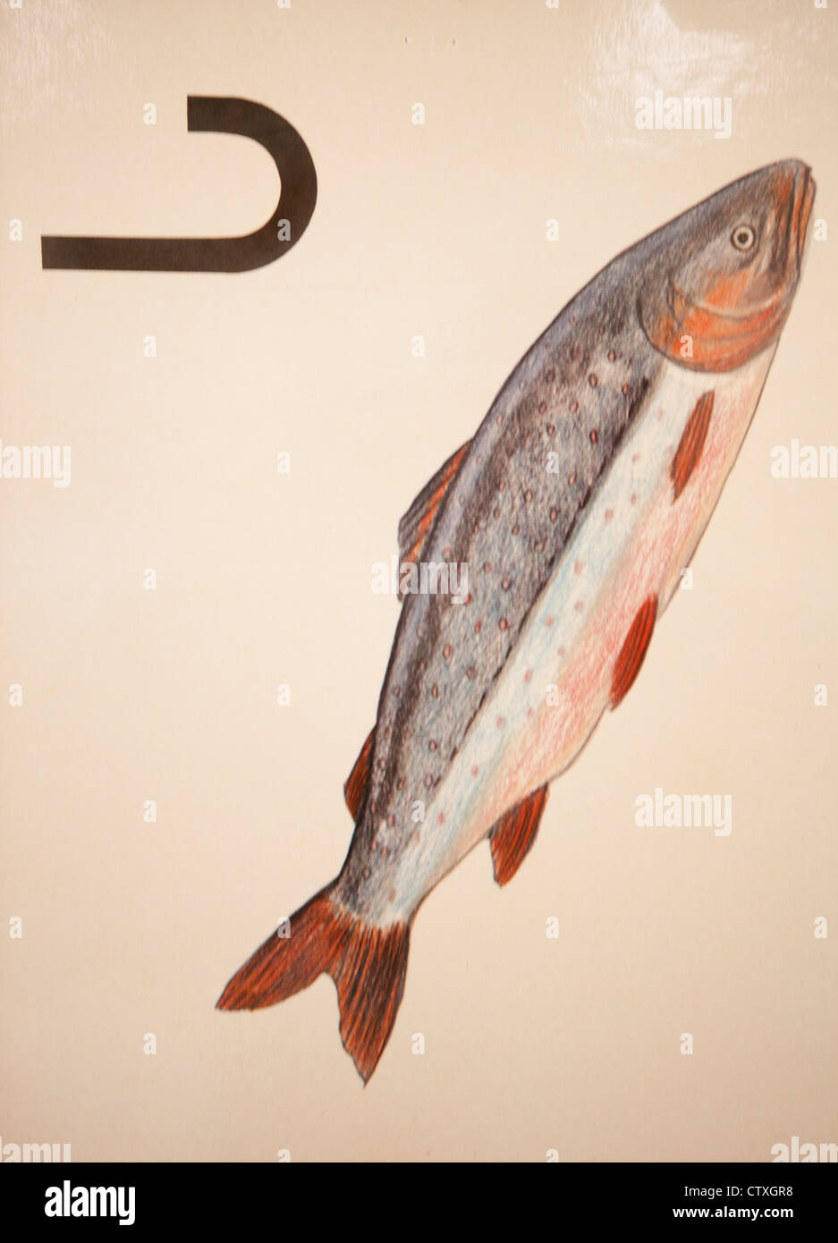 Inuit alphabet hi-res stock photography and images - Alamy