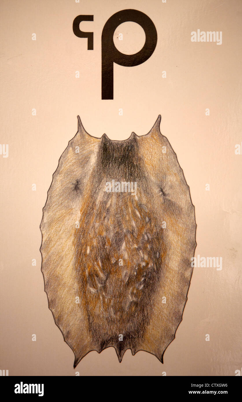 Inuit alphabet hi-res stock photography and images - Alamy