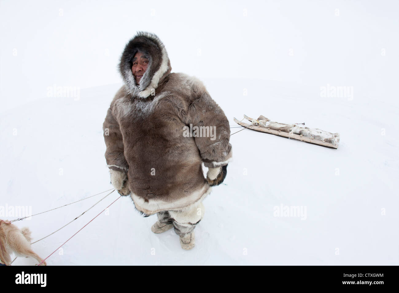 Inuit dog sled hi-res stock photography and images - Alamy