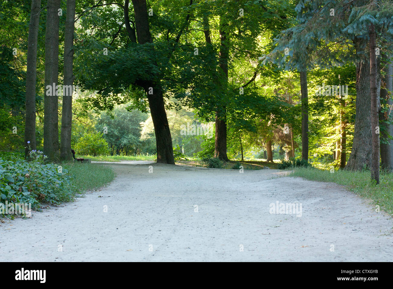 Hottest summer day in the park. Cool shade. Landscape Stock Photo - Alamy