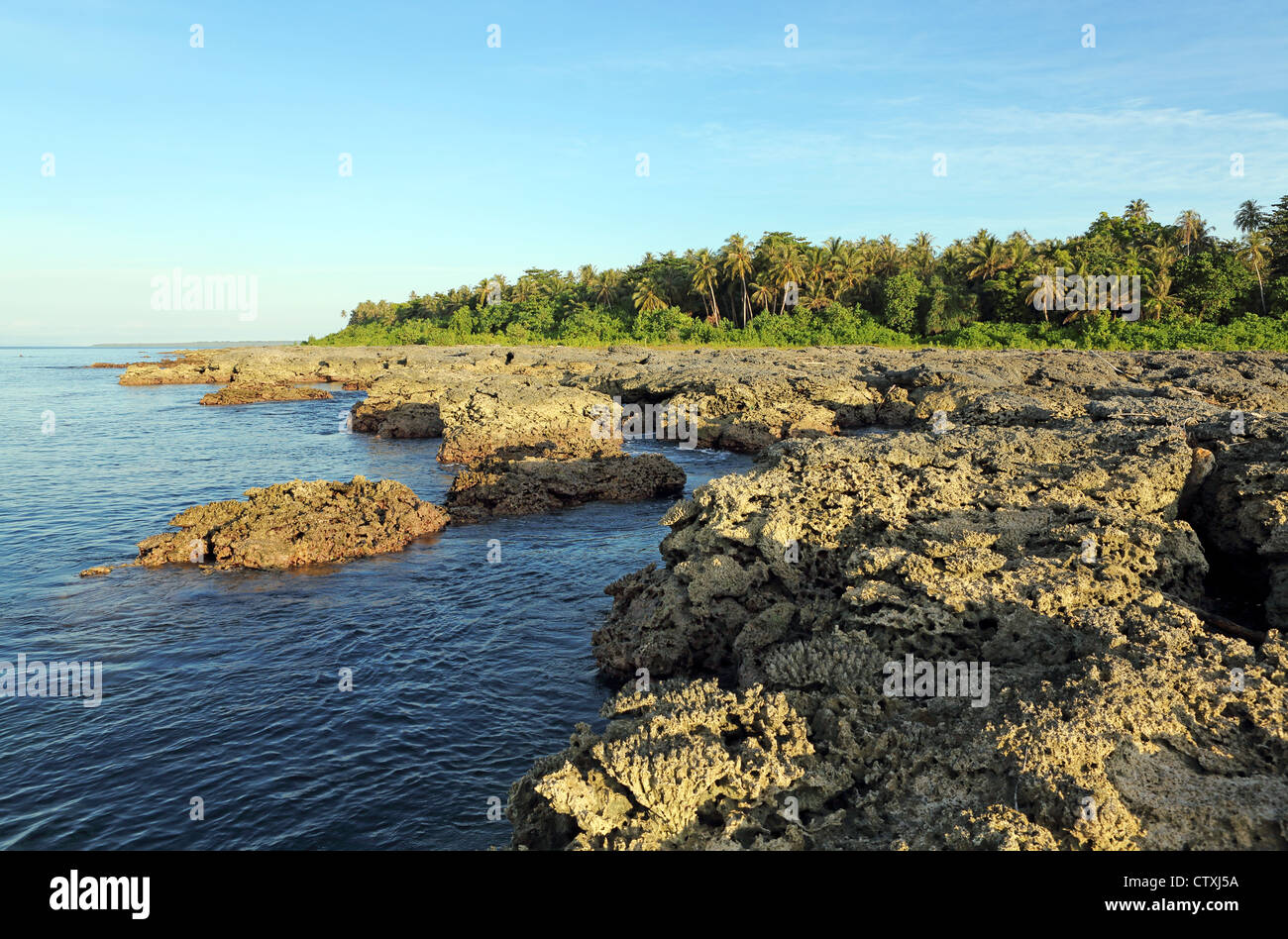 Exposed coral reef on Asu Island in the Hinako archipelago, North ...